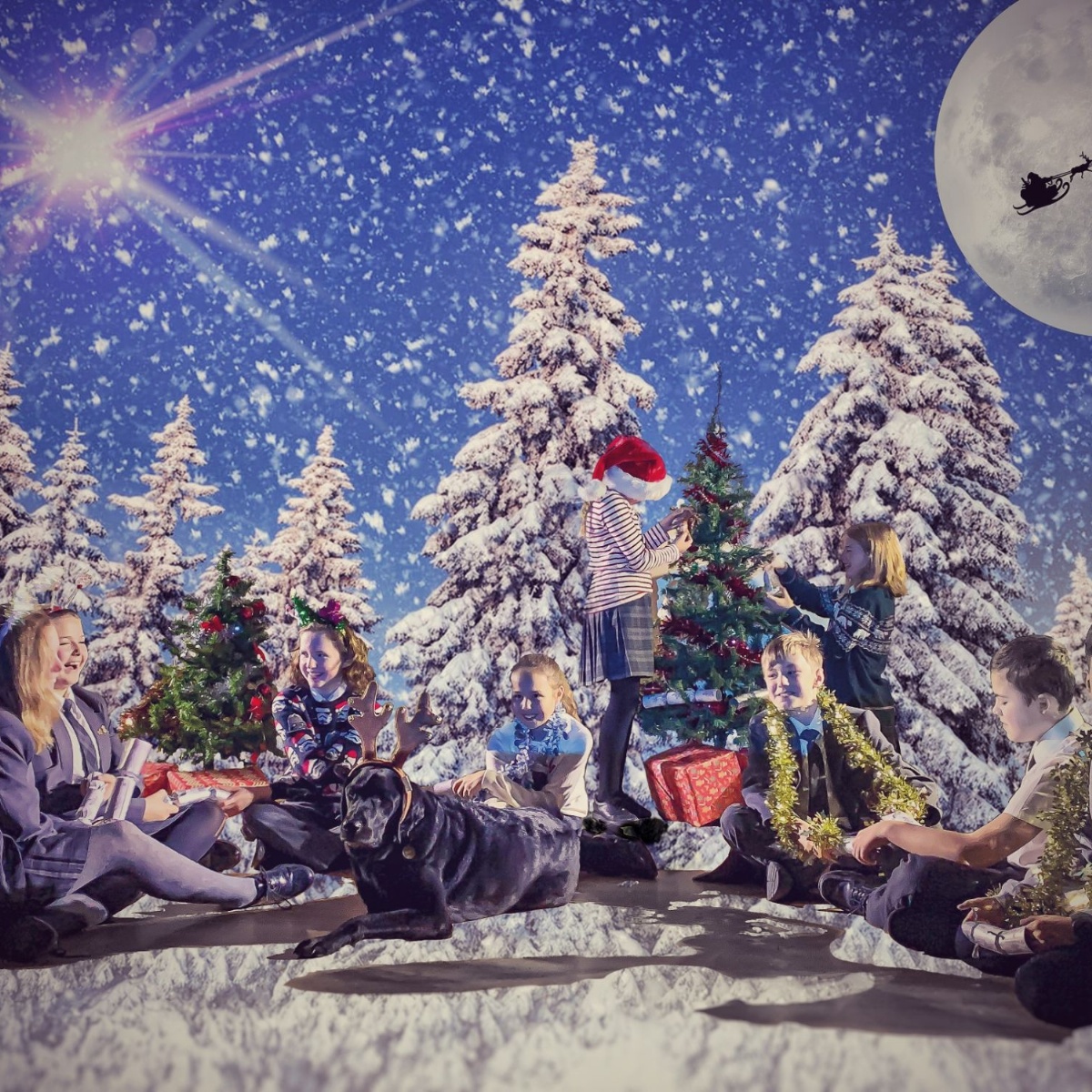 The Elizabethan Academy - Autumn Term Newsletter 2